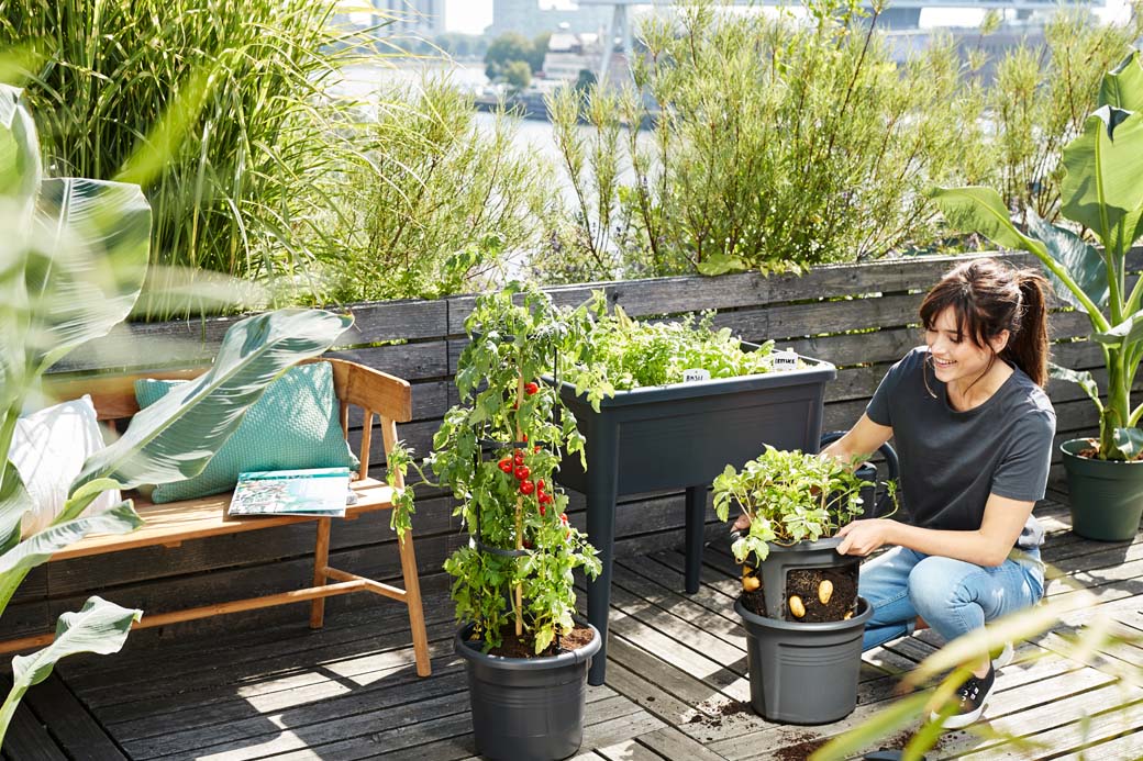 Elho et ses Clients Travaillent Ensemble pour un Monde plus Vert